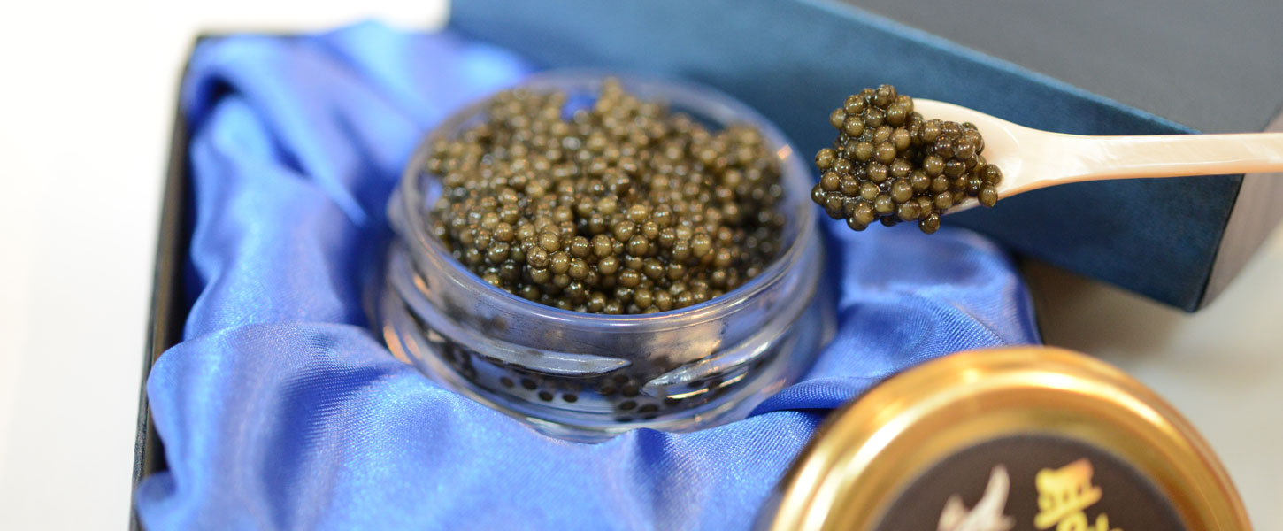 Fresh Caviar | S Caviar Labo